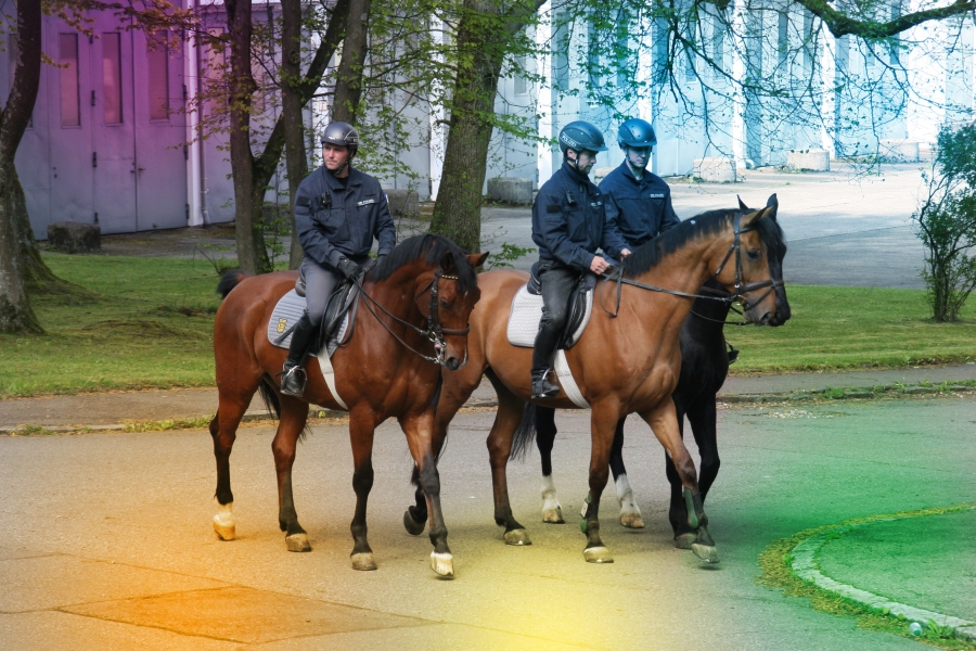 Polizeipräsidium Offenburg